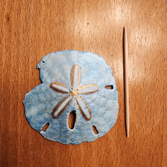 Hand Crafted | Accents | Hand Painted Sand Dollar | Poshmark